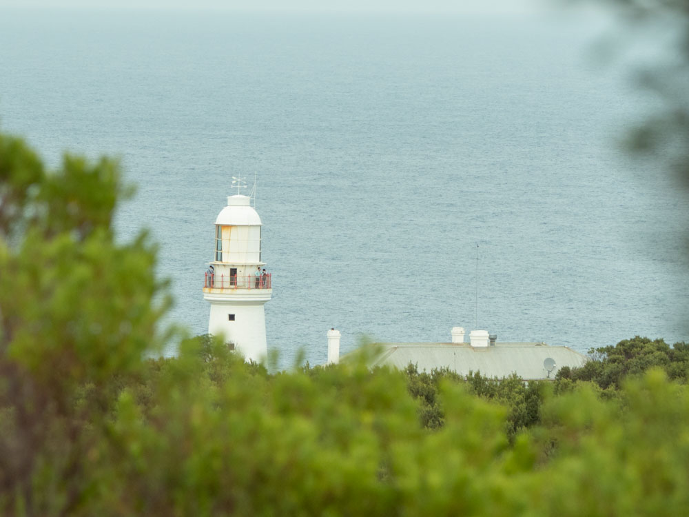 Do the Works on the Great Ocean Road Drive: 18 Key Stops with Itinerary ...