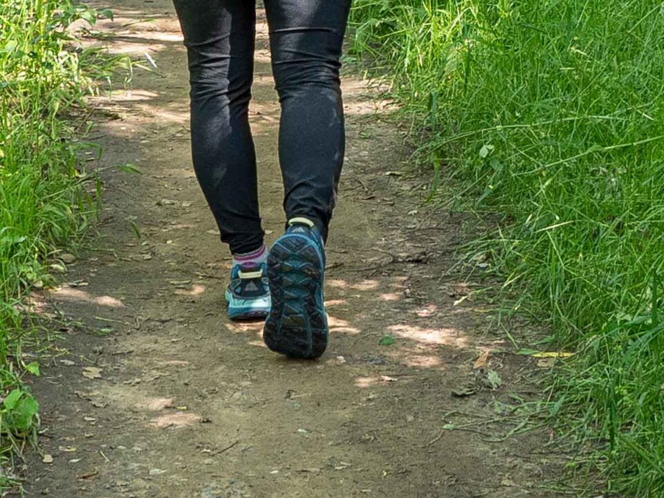 How to Choose the Best Shoes for the Camino de Santiago 2026 ...