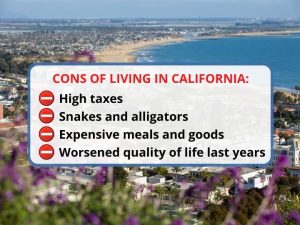 Florida vs California: Which State is the Best to Live In?
