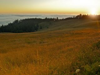 Why Is California Called the Golden State? 13 Surprise Facts