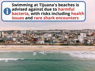 Is Tijuana Safe For Tourists in 2026? Tijuana Crime Rate