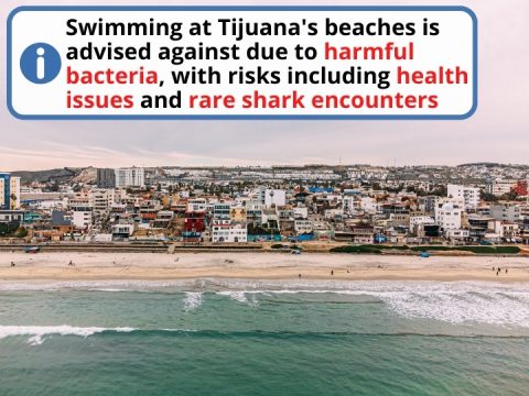 Is Tijuana Safe For Tourists in 2026? Tijuana Crime Rate
