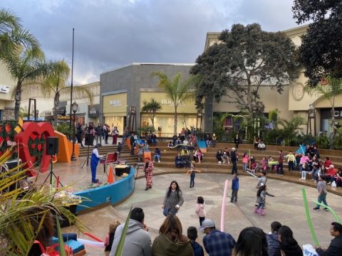 Is Tijuana Safe For Tourists in 2026? Tijuana Crime Rate